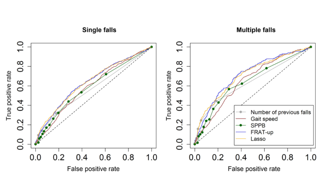 Fall forecast. A data-driven approach - ISPGR