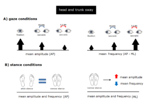 Postural control in older adults is affected by saccadic eye movements ...