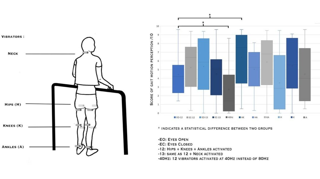 Can we create an illusion of walking using proprioceptive stimulations ...